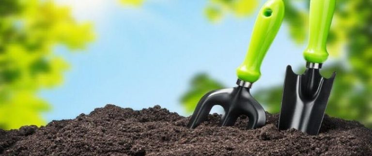 Best Lawn Care Guide & Tips To Prepare Your Lawn For Spring!