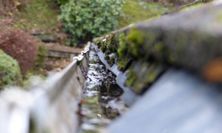 What Happens If You Don’t Clean Gutters? | Same Day Pros
